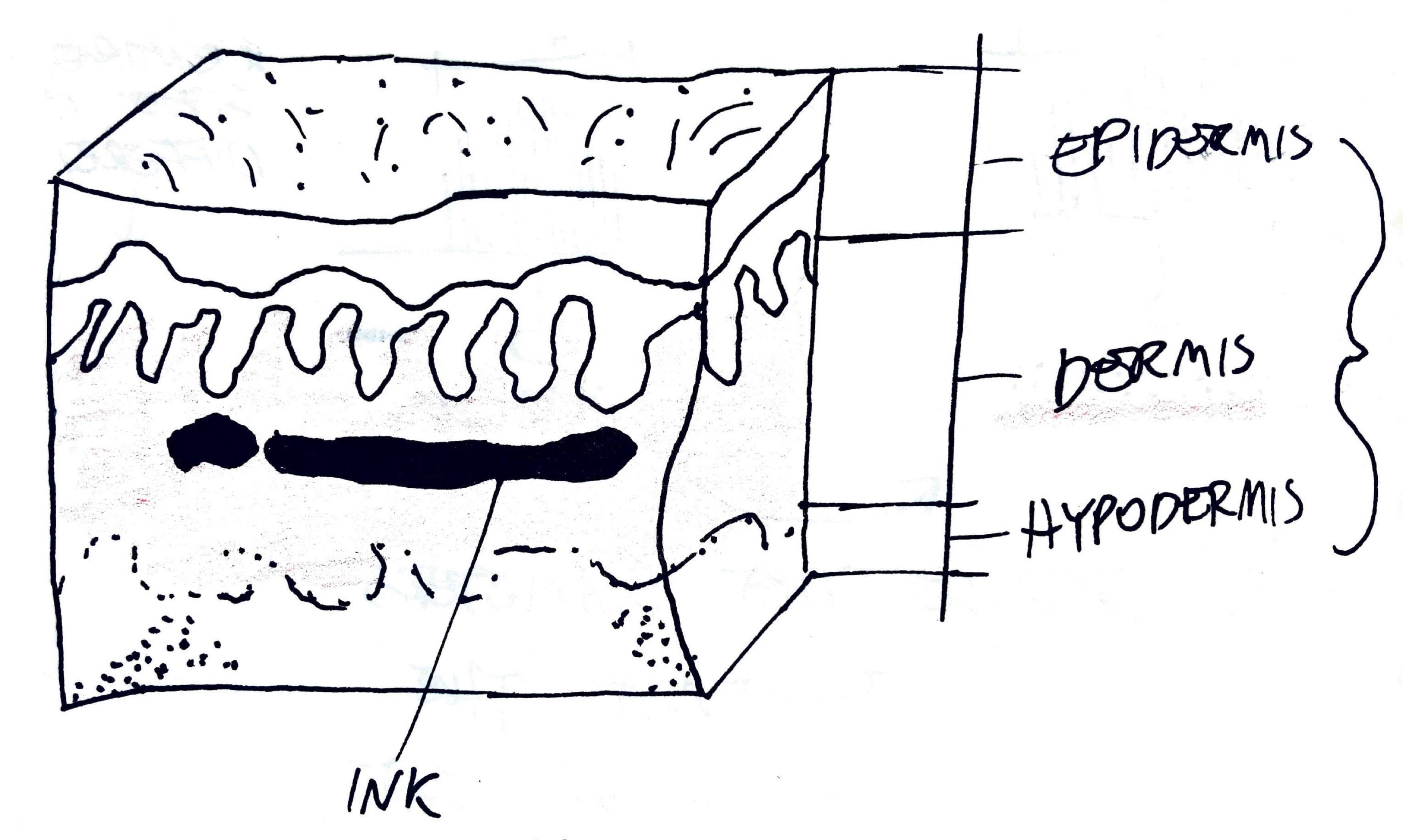 Tattooing: Finding the correct needle depth – Welcome to the Abyss